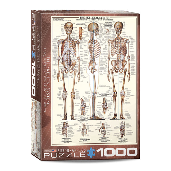 The Skeletal System 1000 Piece Puzzle – The Puzzle Nerds