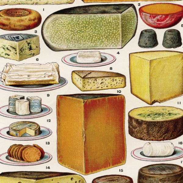 Cheese 500 Piece Puzzle – The Puzzle Nerds